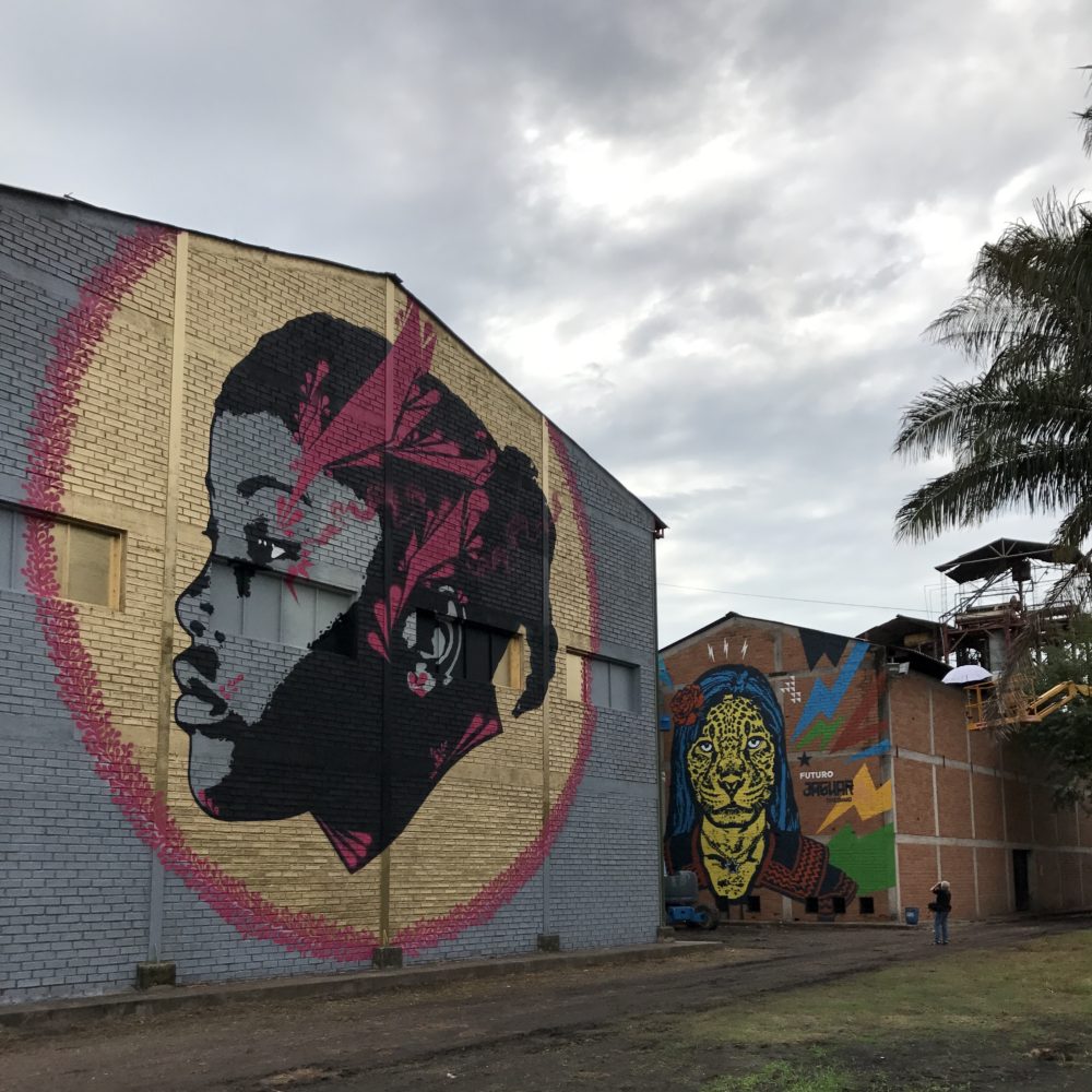 The Colombian Street Art Scene – Dictador Art Masters